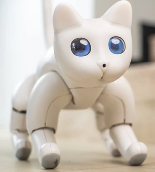 MarsCat, el gat robòtic | Des de la Mediterrània